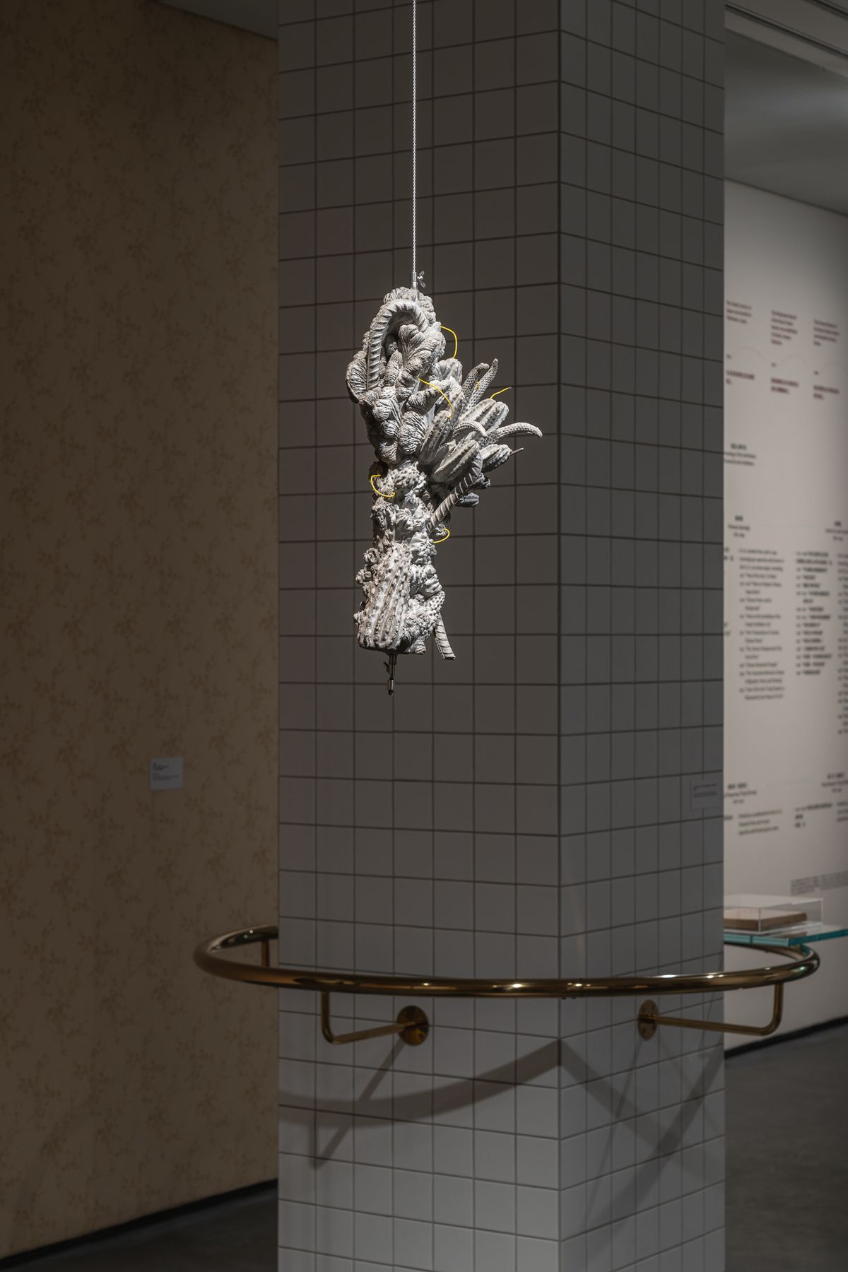 X Zhu-Nowell’s Return to China: ‘I Saw a Zone of Urgency’ | Ocula